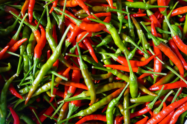 Thai Chili Hot Transplanting Traditions Community Farm